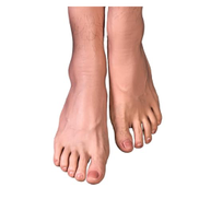 HHGDS Silicone Feet Model, Silicone Female Foot Model, Clone Male Foot ...