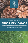 مواصفات و سعر Gua B sica de Pinos Mexicanos: Una mirada a la gran ...