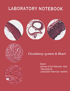 Histology Laboratory Notebook : School College Notebook, Perfect ...