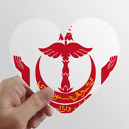 مواصفات و سعر Bandar Seri Begawan Brunei National Emblem Heart Vinyl ...