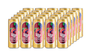 Rita Mixedberries Slim Can 240ML x 30 price in Dubai, UAE | Compare Prices