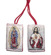 San Rafael Arcangel Scapulary of The Sacred Heart of Jesus and Our Lady ...