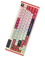 DUSTSILVER D84 Wireless 75 Classic Retro Mechanical Keyboard with RGB ...
