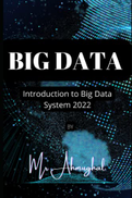 Big Data Analytics Introduction to Big Data System 2022:Discovering, Analyzing, Visualizing and ...