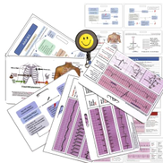 مواصفات و سعر MOMOZEE Nurse Reference Badge Cards - ACLS, BLS, Code ...